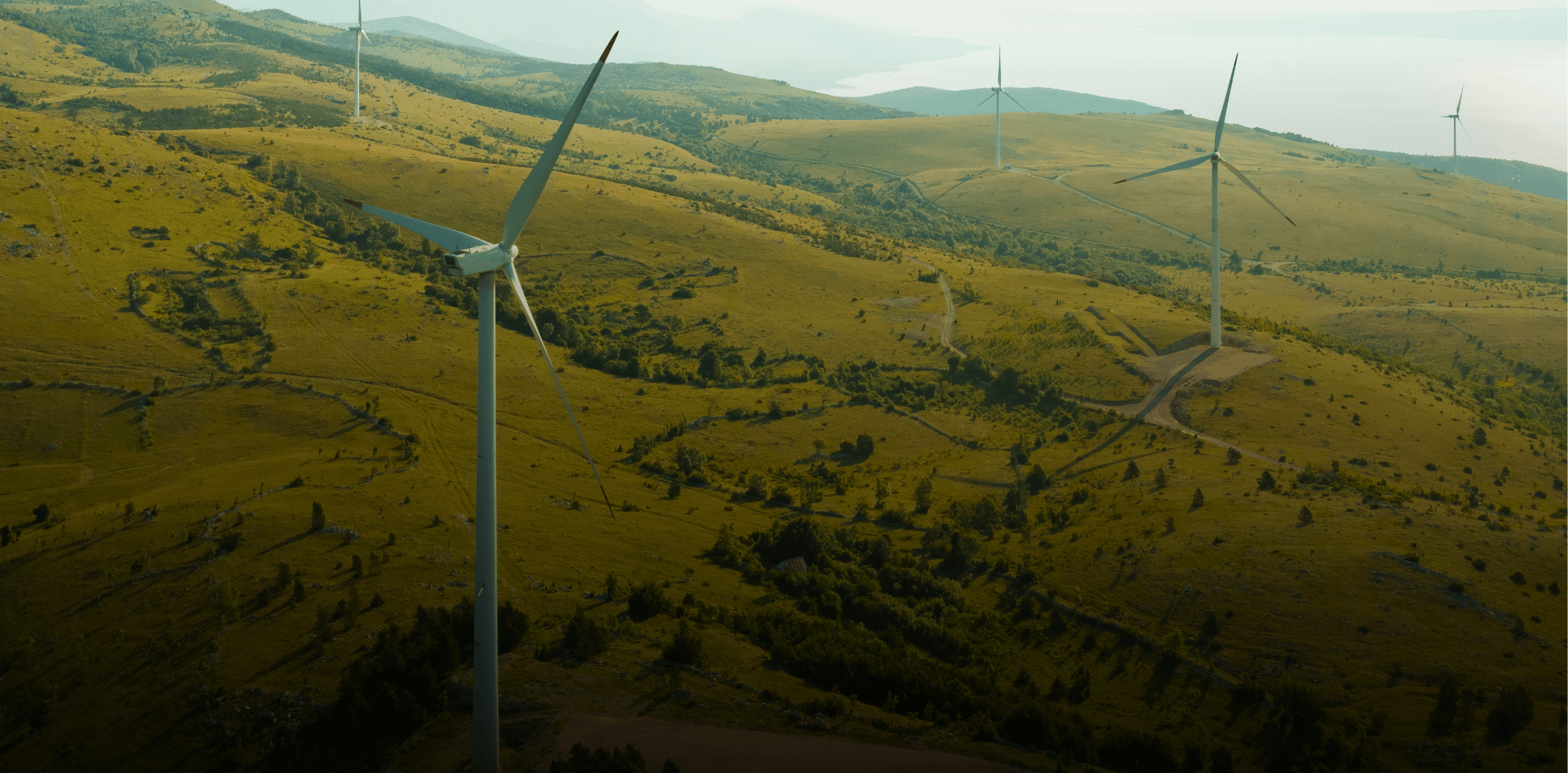 Knowledge Hub | MyCarbon