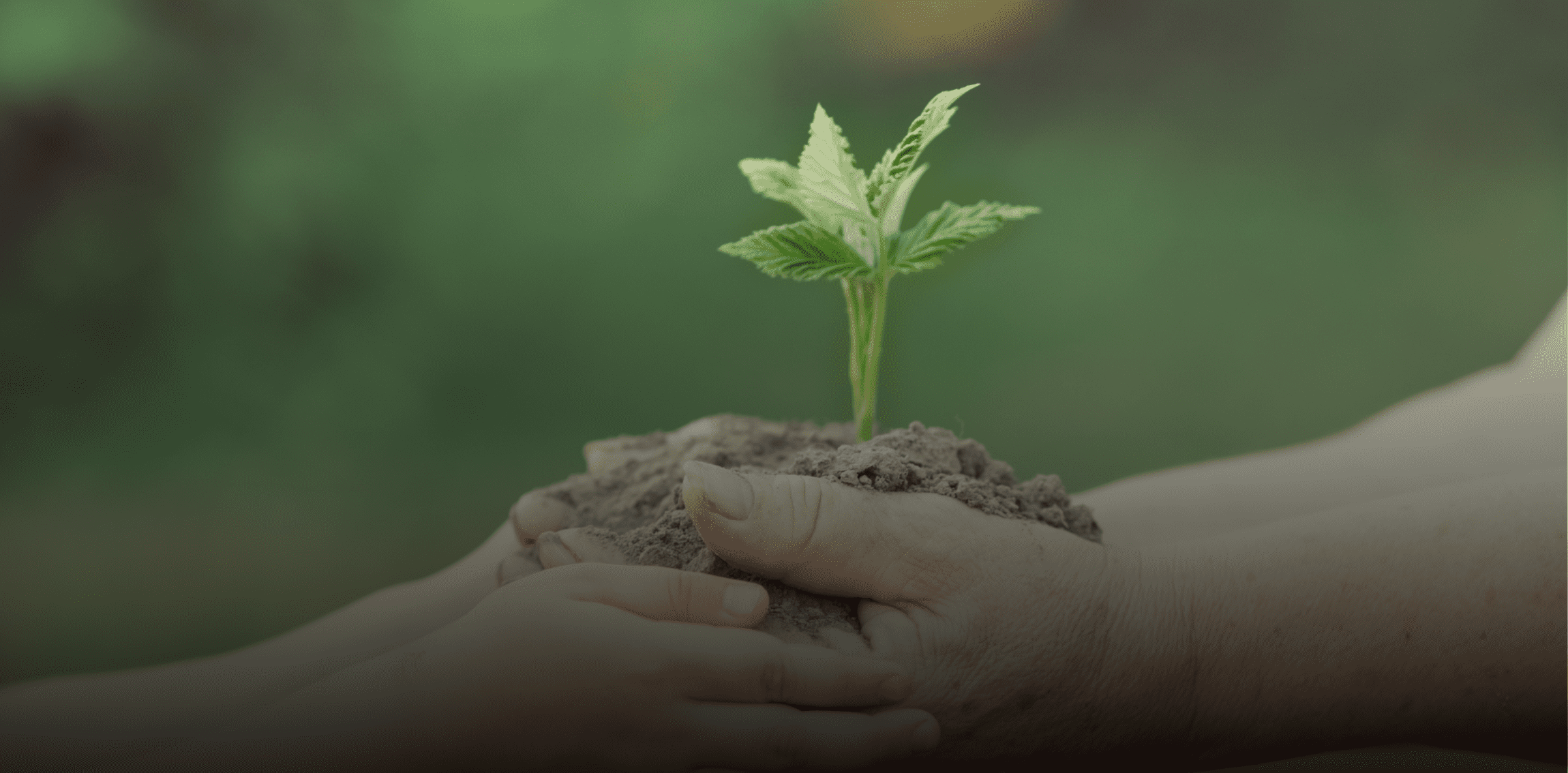 Knowledge Hub | MyCarbon