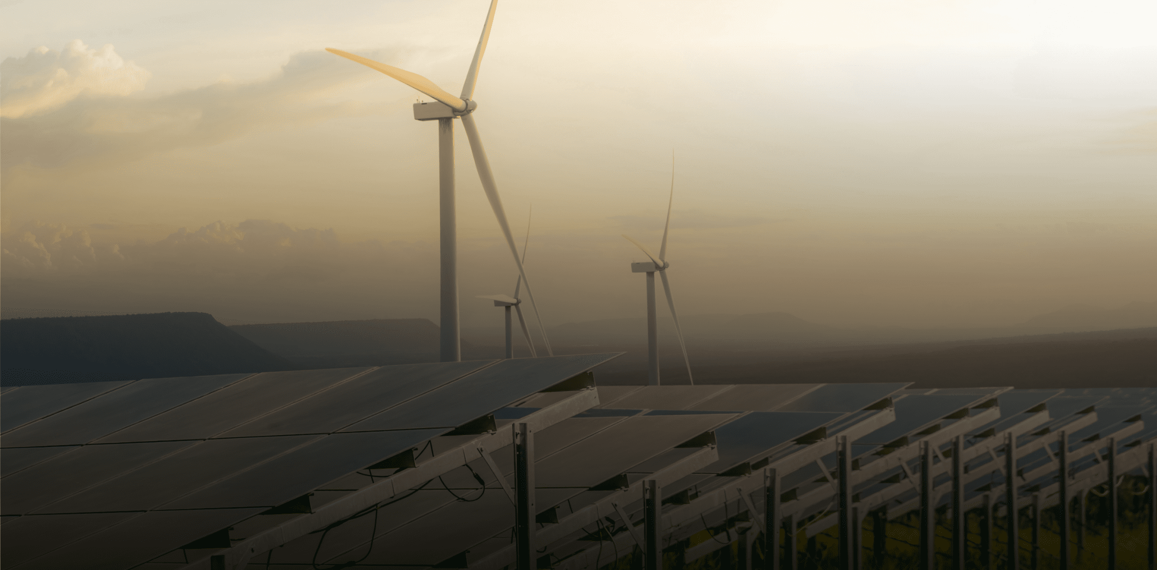 Knowledge Hub | MyCarbon